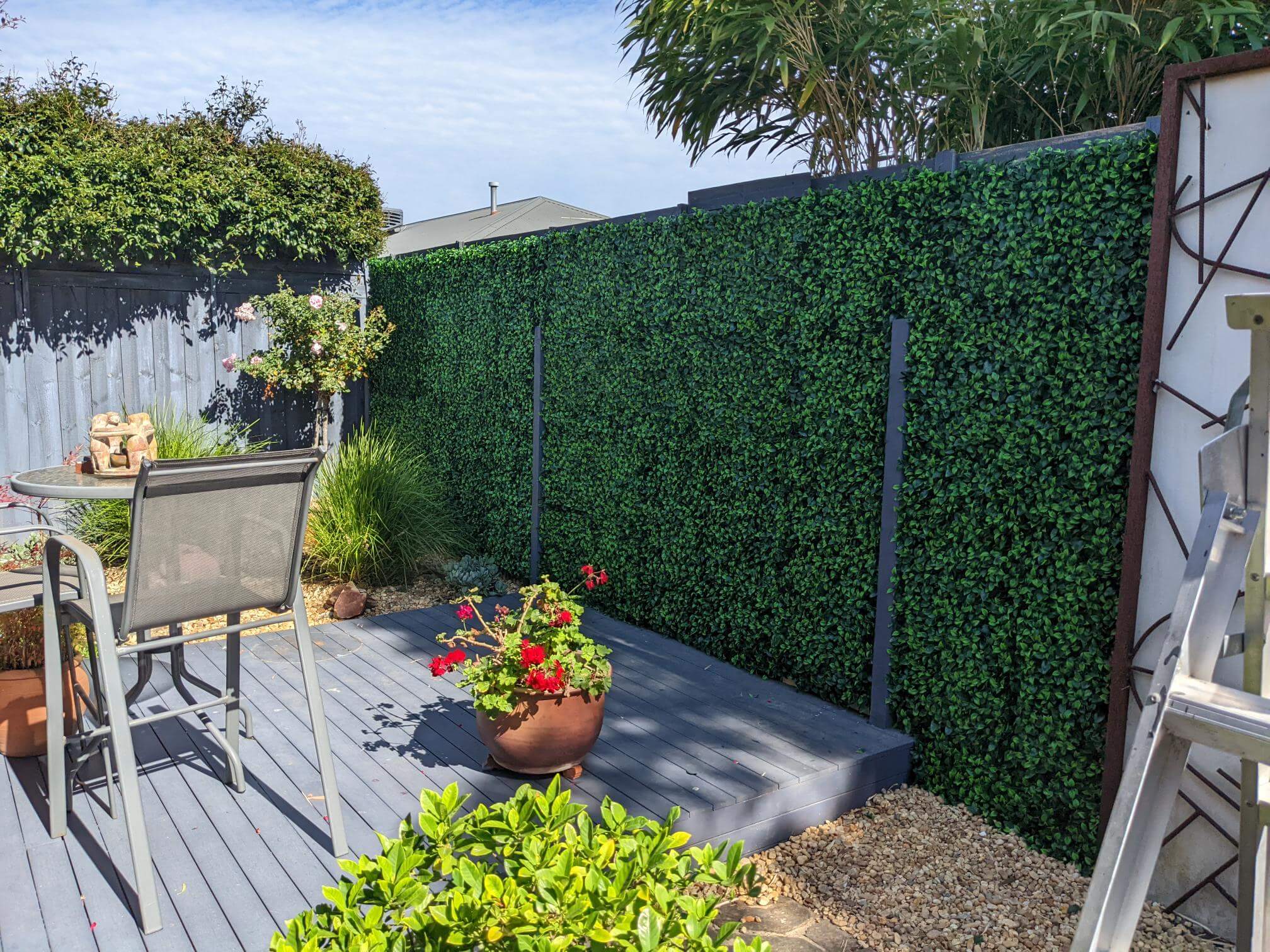 Qué son las paredes verdes: definición, beneficios, diseño y vegetación