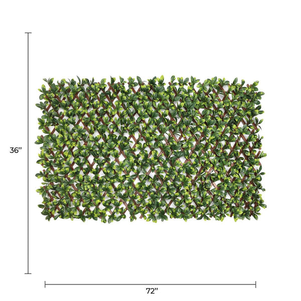 Expandable Faux Ficus Leaf Privacy Fence - UV Resistant 72x36 Inches