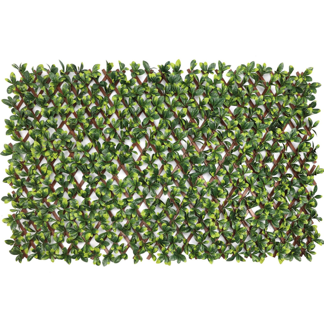 Expandable Faux Ficus Leaf Privacy Fence - UV Resistant 72x36 Inches