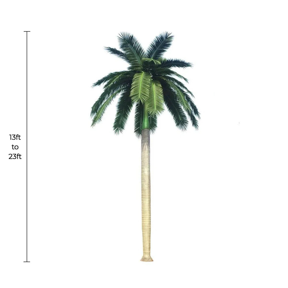 Tall Artificial Royal Palm Tree (13ft - 23ft) UV Resistant (10-12 Week