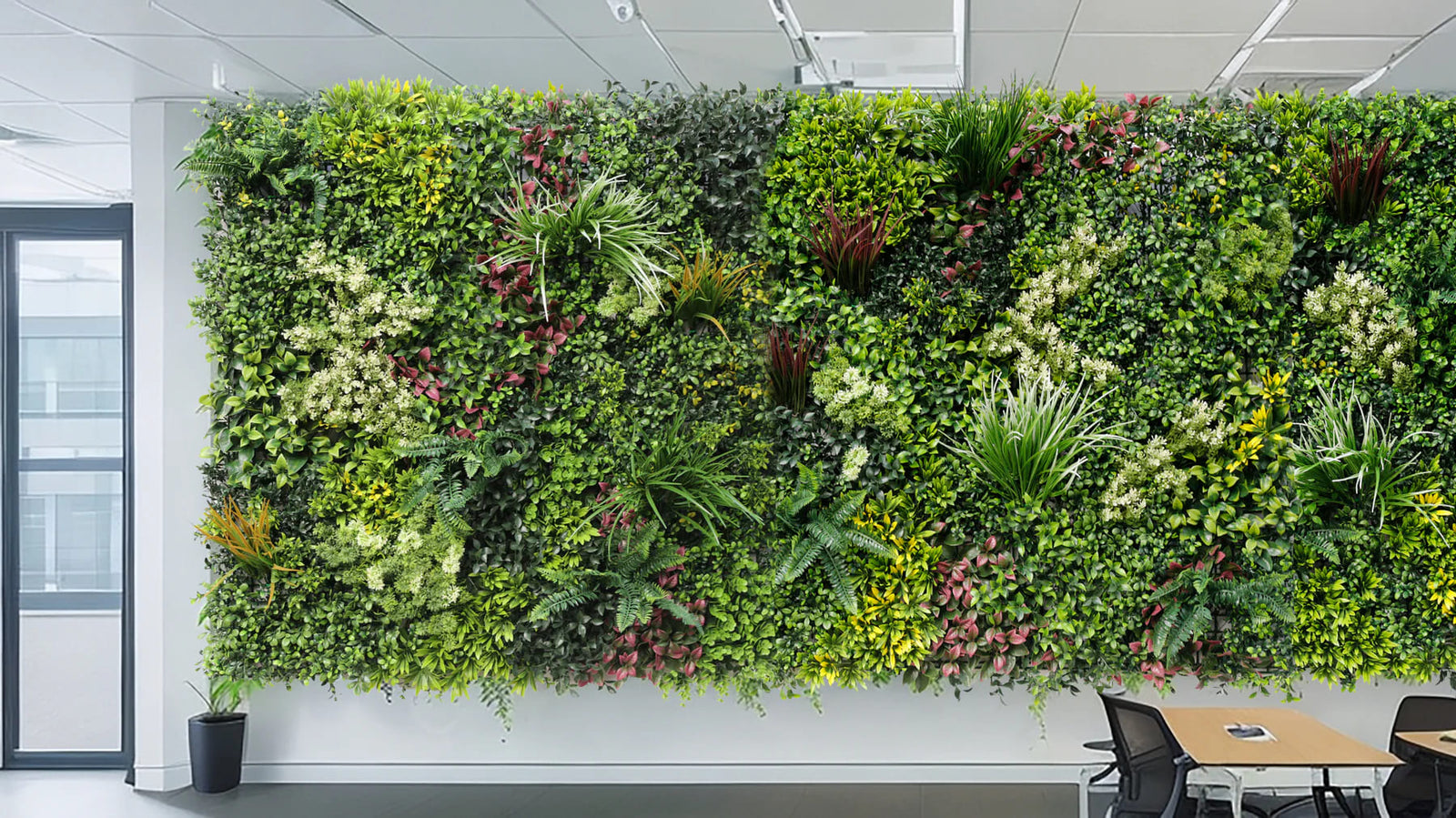 Manicured and Organic Look, vertical gardens